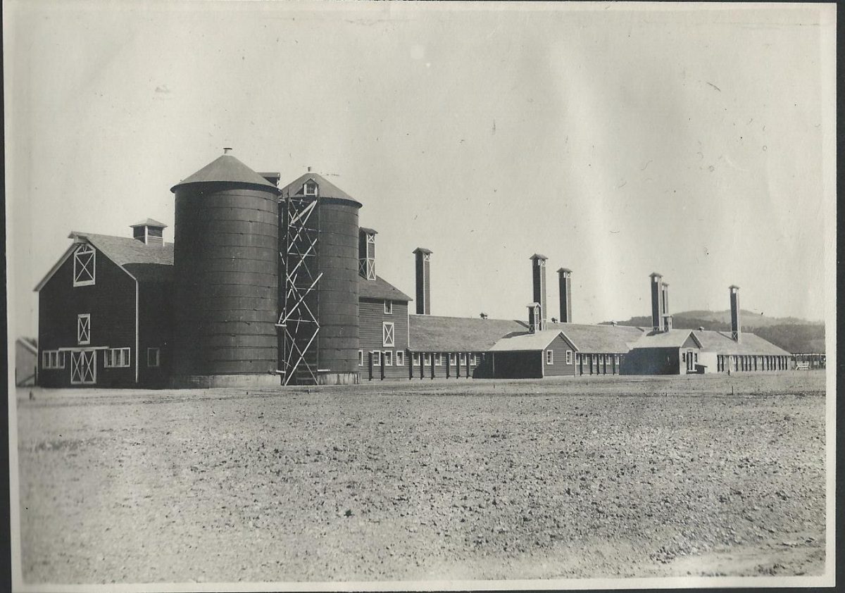 Briarcliff Farms and its Successors – Little Nine Partners Historical ...