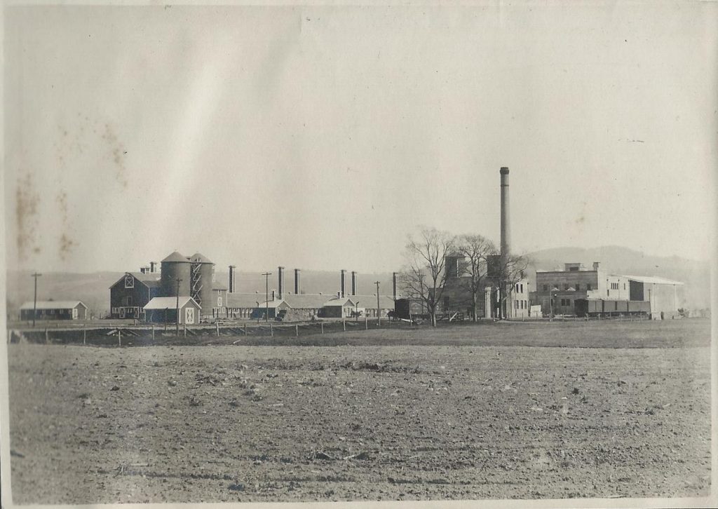 Briarcliff Farms and its Successors – Little Nine Partners Historical ...