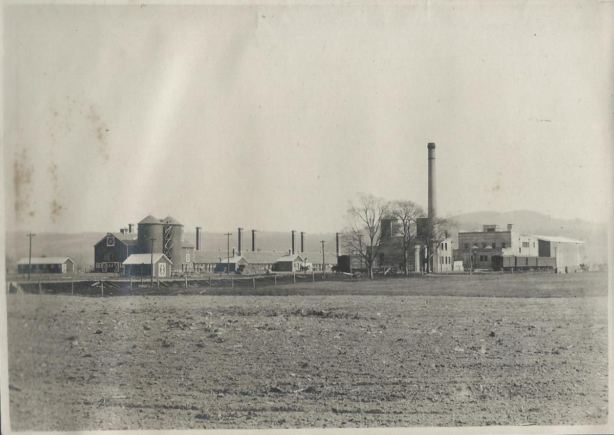 Briarcliff Farms and its Successors – Little Nine Partners Historical ...