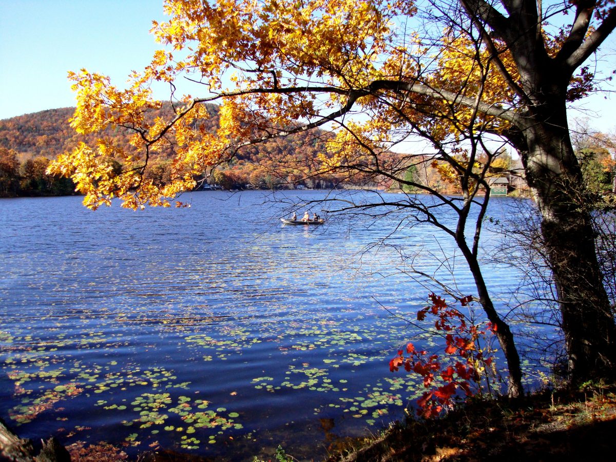 Our Natural Heritage – Little Nine Partners Historical Society