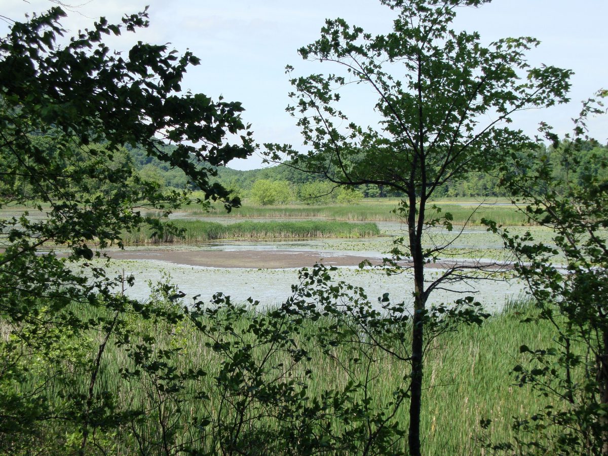 Our Natural Heritage – Little Nine Partners Historical Society